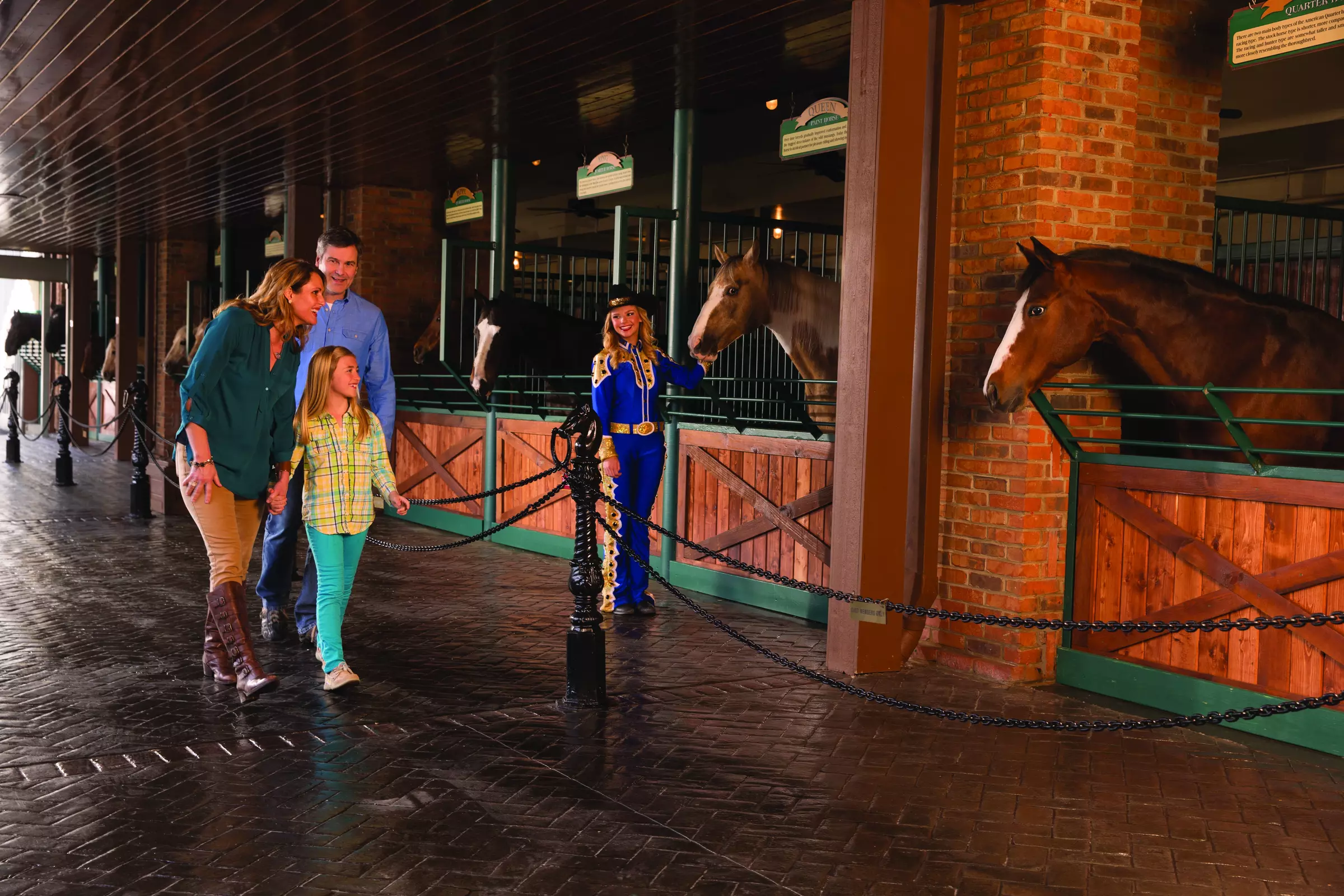 Arrive early to see our Horse Walk!